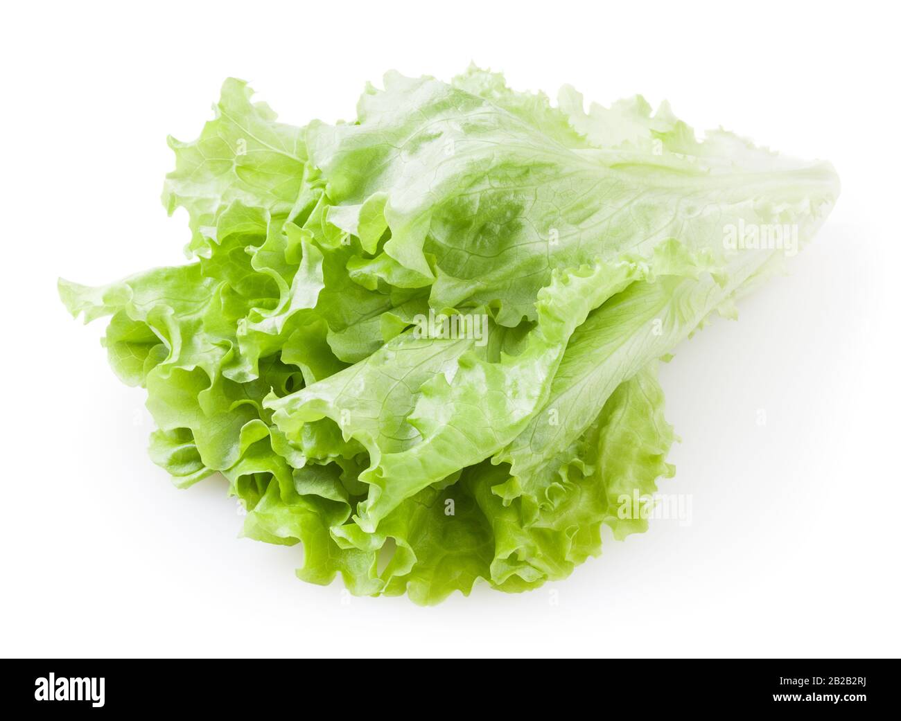 Fresh lettuce isolated on white background Stock Photo - Alamy