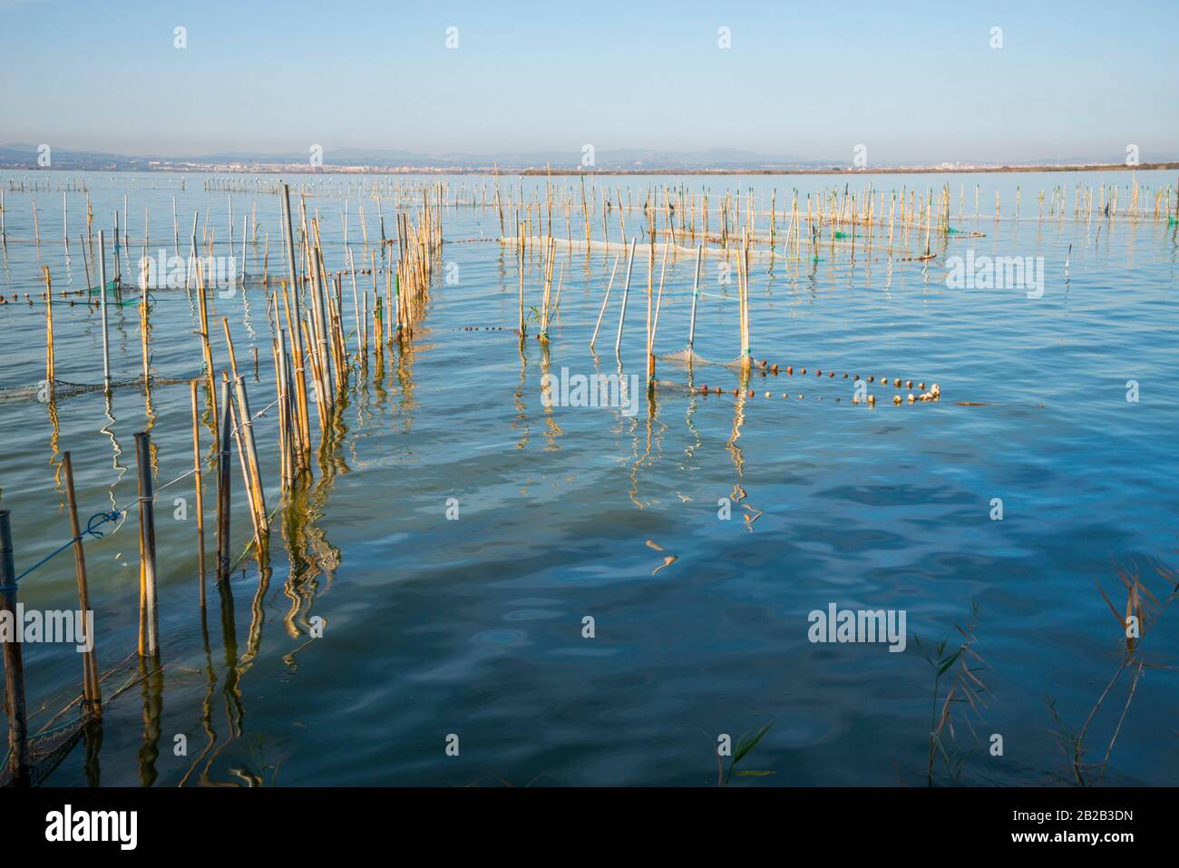 Landscape. La Albufera Nature Reserve, valencia, Spain Stock Photo - Alamy