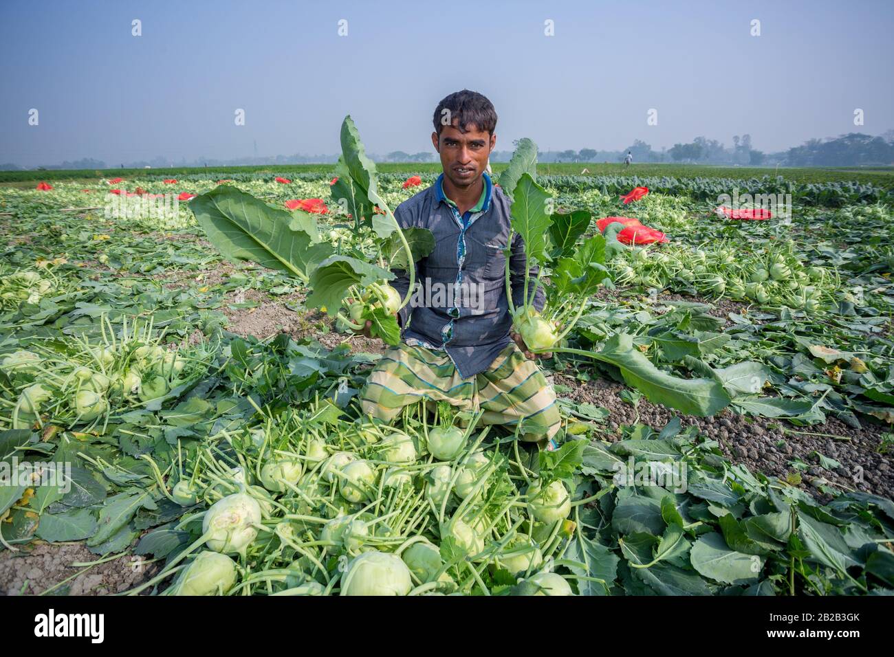Vegetables Of Bangladesh High Resolution Stock Photography and Images ...
