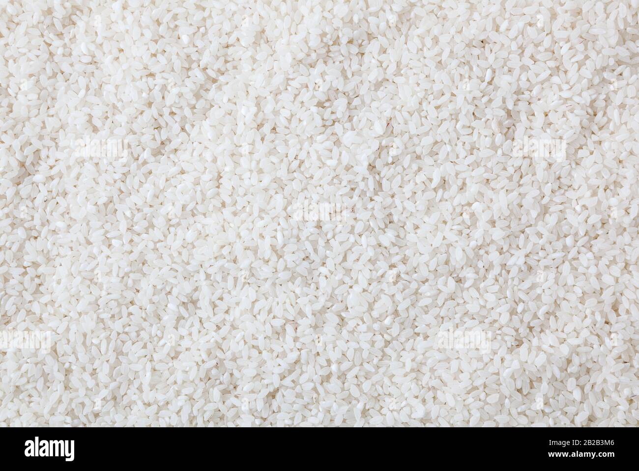 Round grain rice hi-res stock photography and images - Alamy