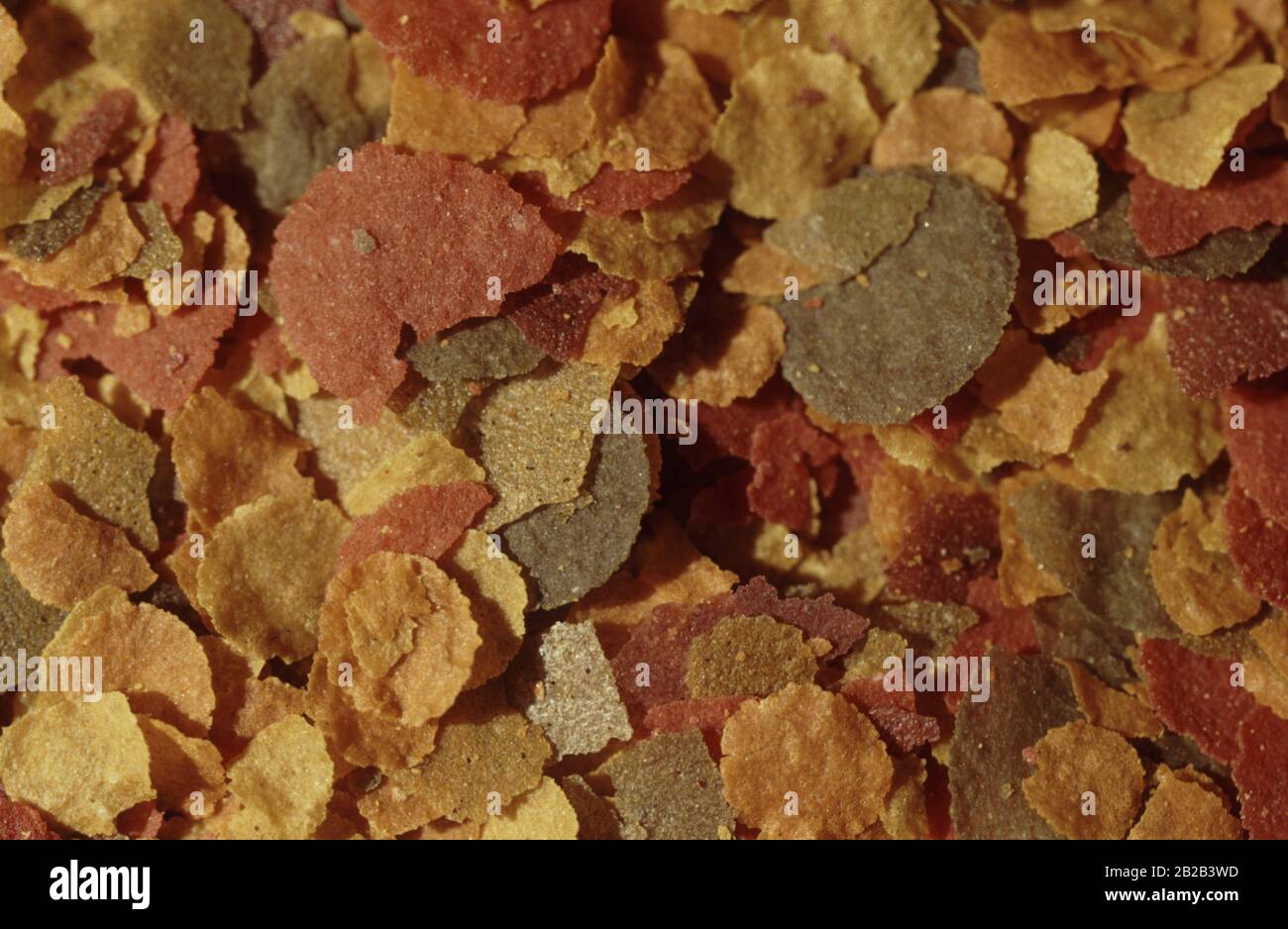 Flake food for tropical aquarium fish Stock Photo - Alamy