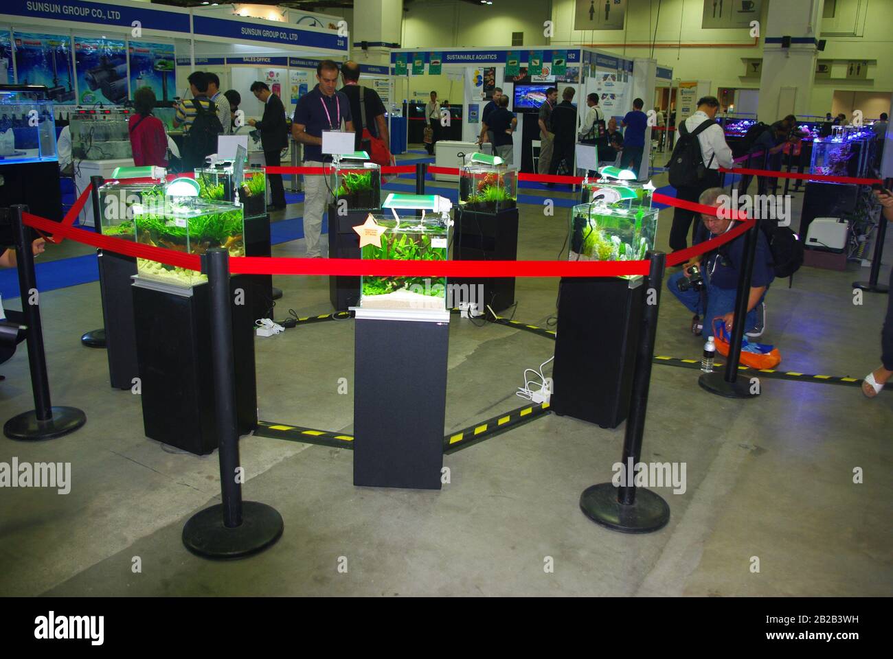 Freshwater aquarium fish contest Stock Photo - Alamy