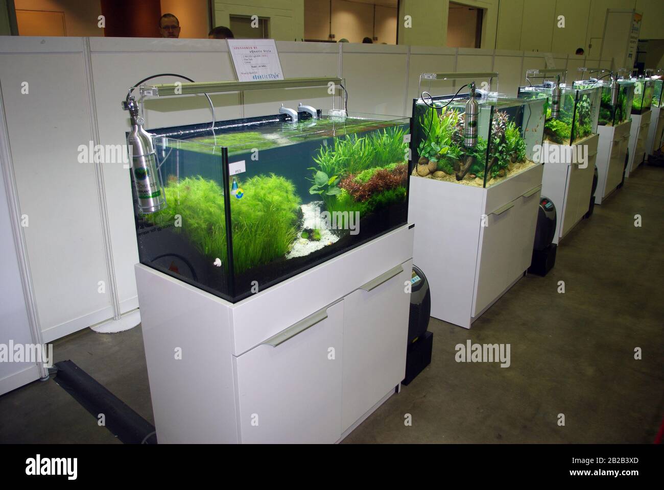 Fish spawning aquarium hi-res stock photography and images - Alamy