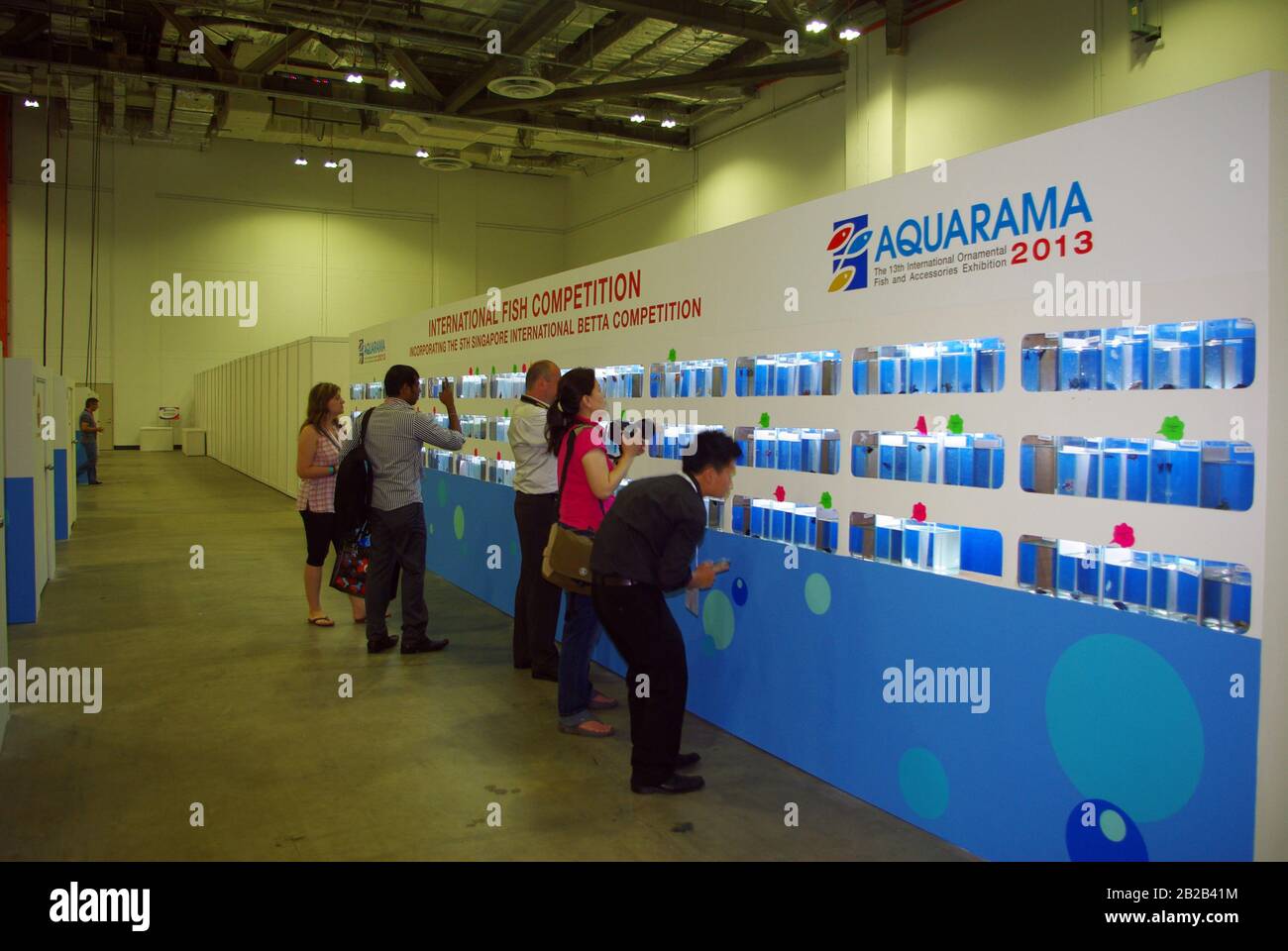 Singapore's Aquarama 2013 aquarium fish contest Stock Photo - Alamy