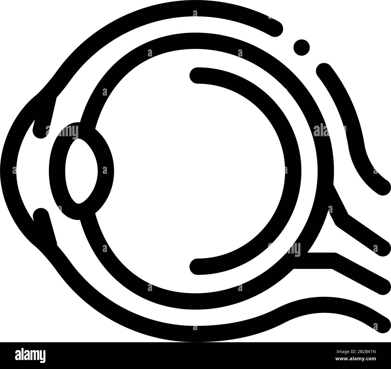 Ophthalmology anatomy Black and White Stock Photos & Images - Alamy