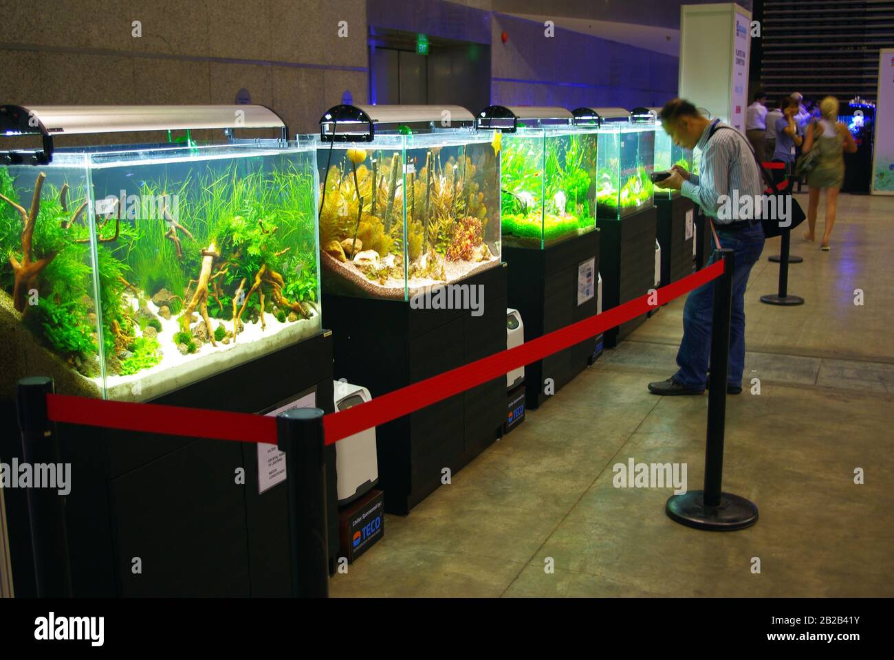Aquarama's freshwater aquarium contest, Singapore Stock Photo - Alamy