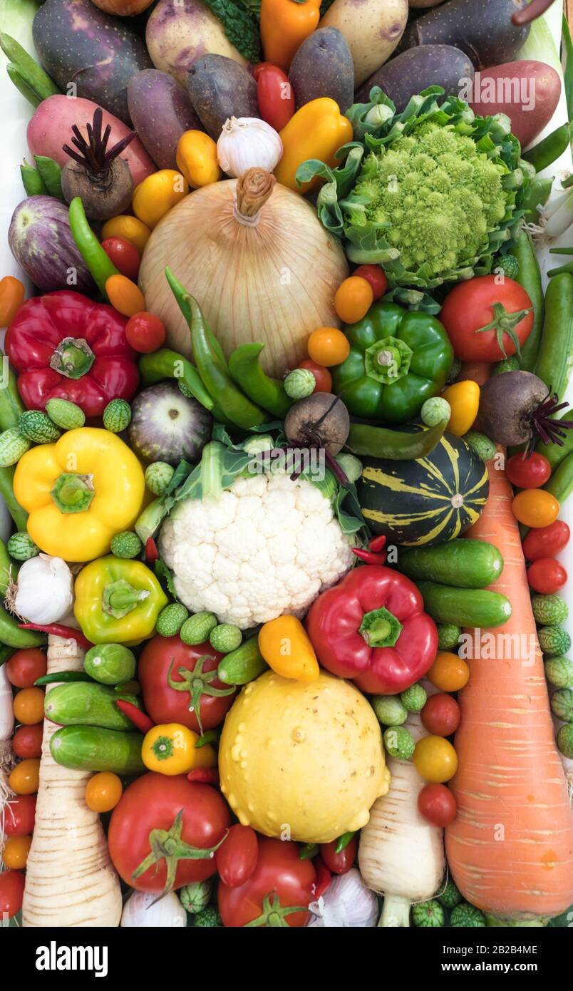 Vegetables show hi-res stock photography and images - Alamy