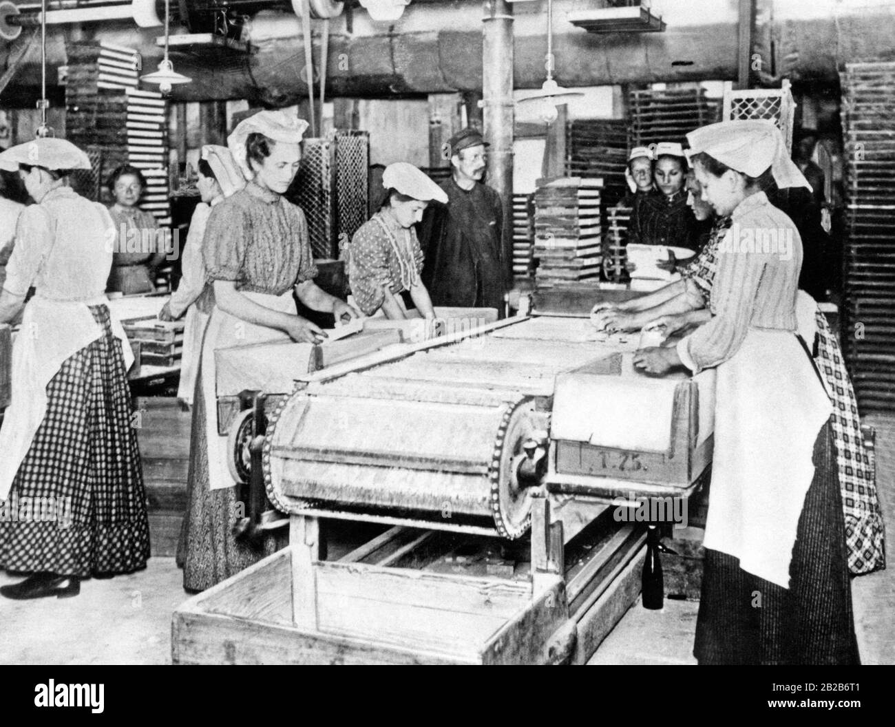 Sugar factory worker hi-res stock photography and images - Alamy