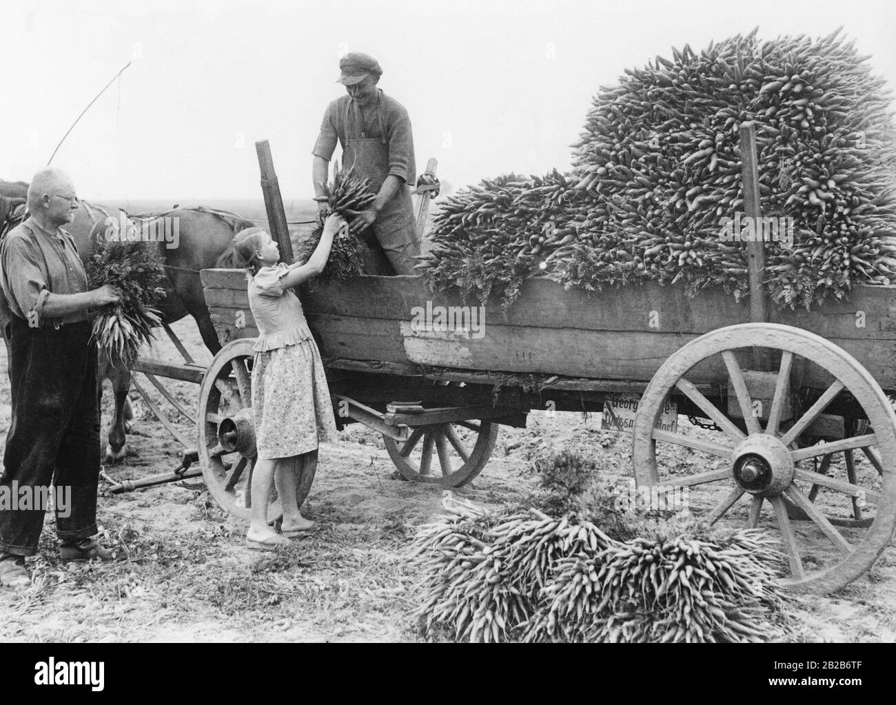 Family harvesting Black and White Stock Photos & Images - Alamy