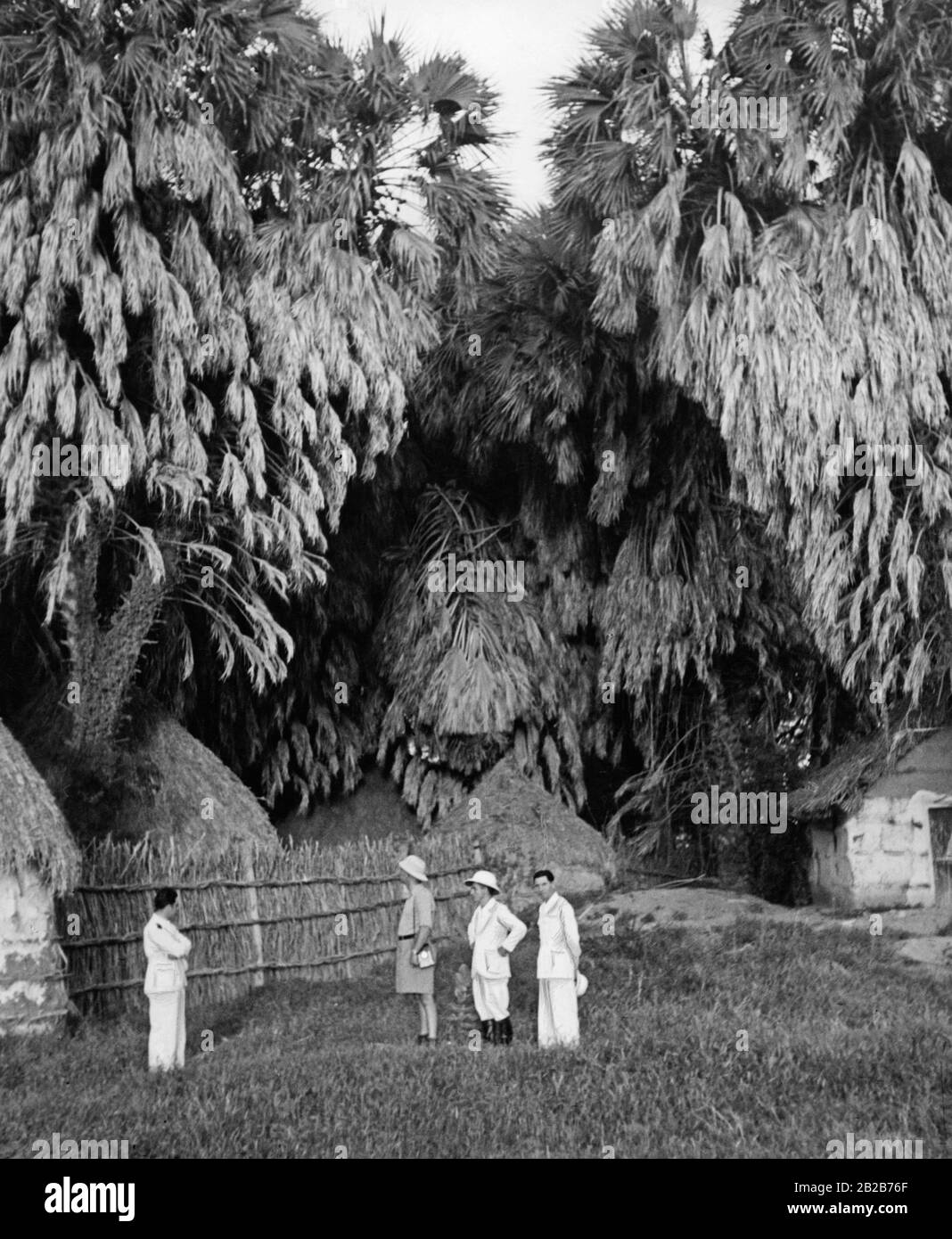 Forest society and colonialism hi-res stock photography and images - Alamy