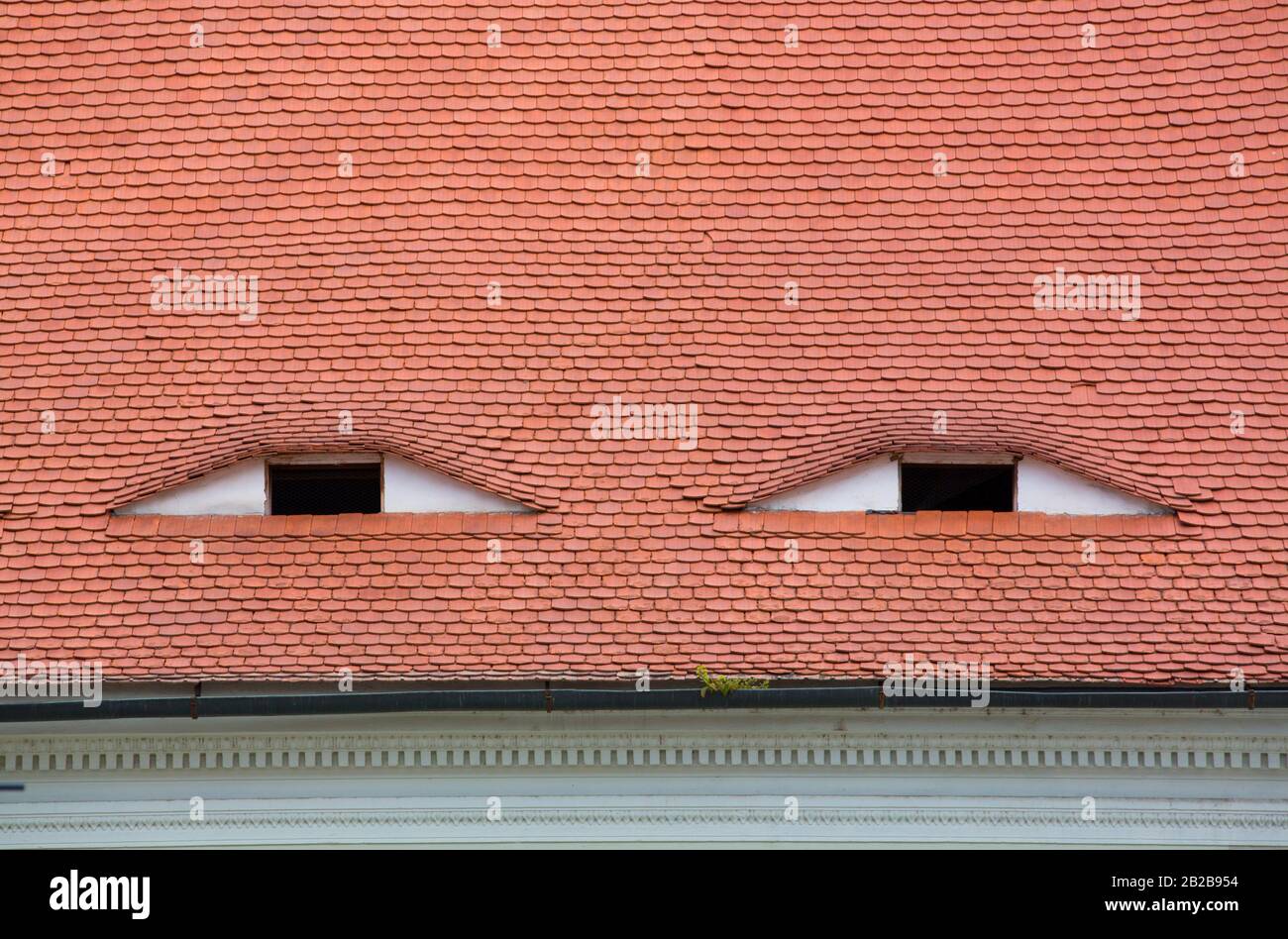 Structure eye hi-res stock photography and images - Alamy
