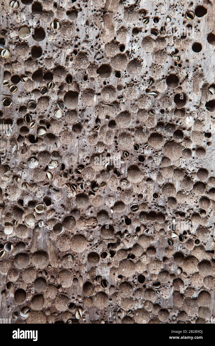 Vintage stone texture as background Stock Photo - Alamy