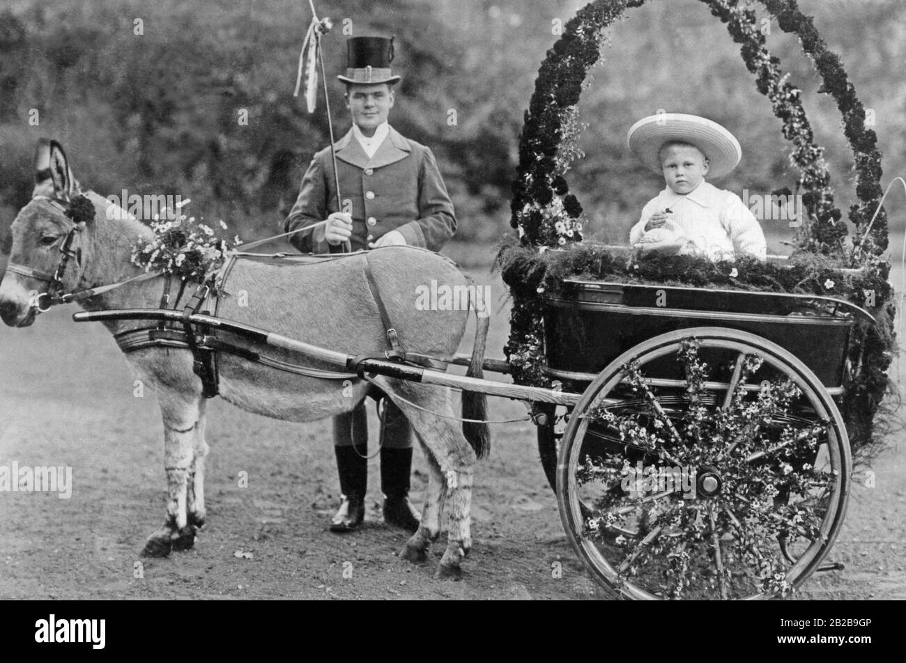 A little boy sitting in a decorated donkey carriage. Behind him stands ...