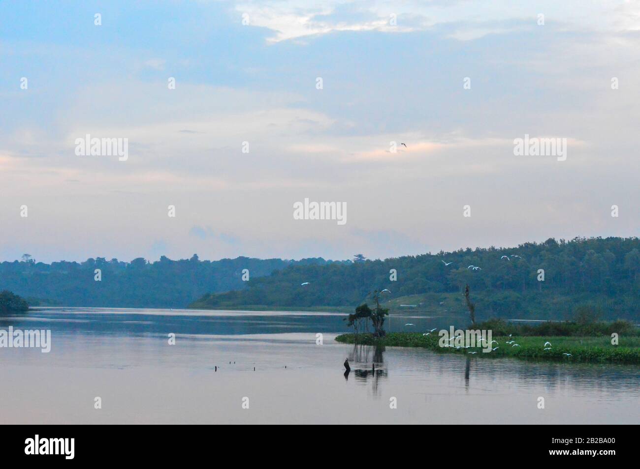 The White Nile close to it's source of Lake Victoria near Jinja, Uganda ...