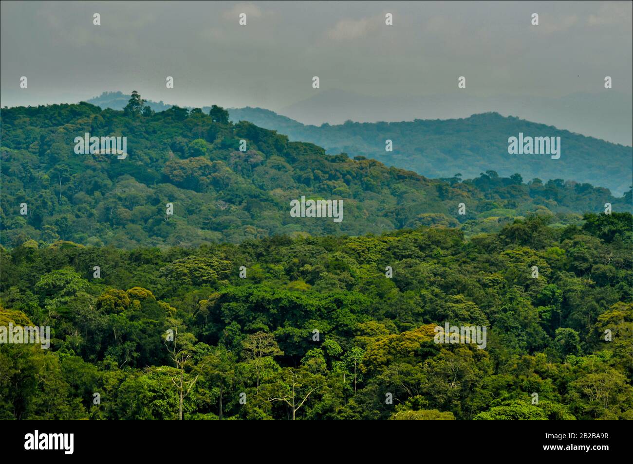 Albertine rift mountains hi-res stock photography and images - Alamy