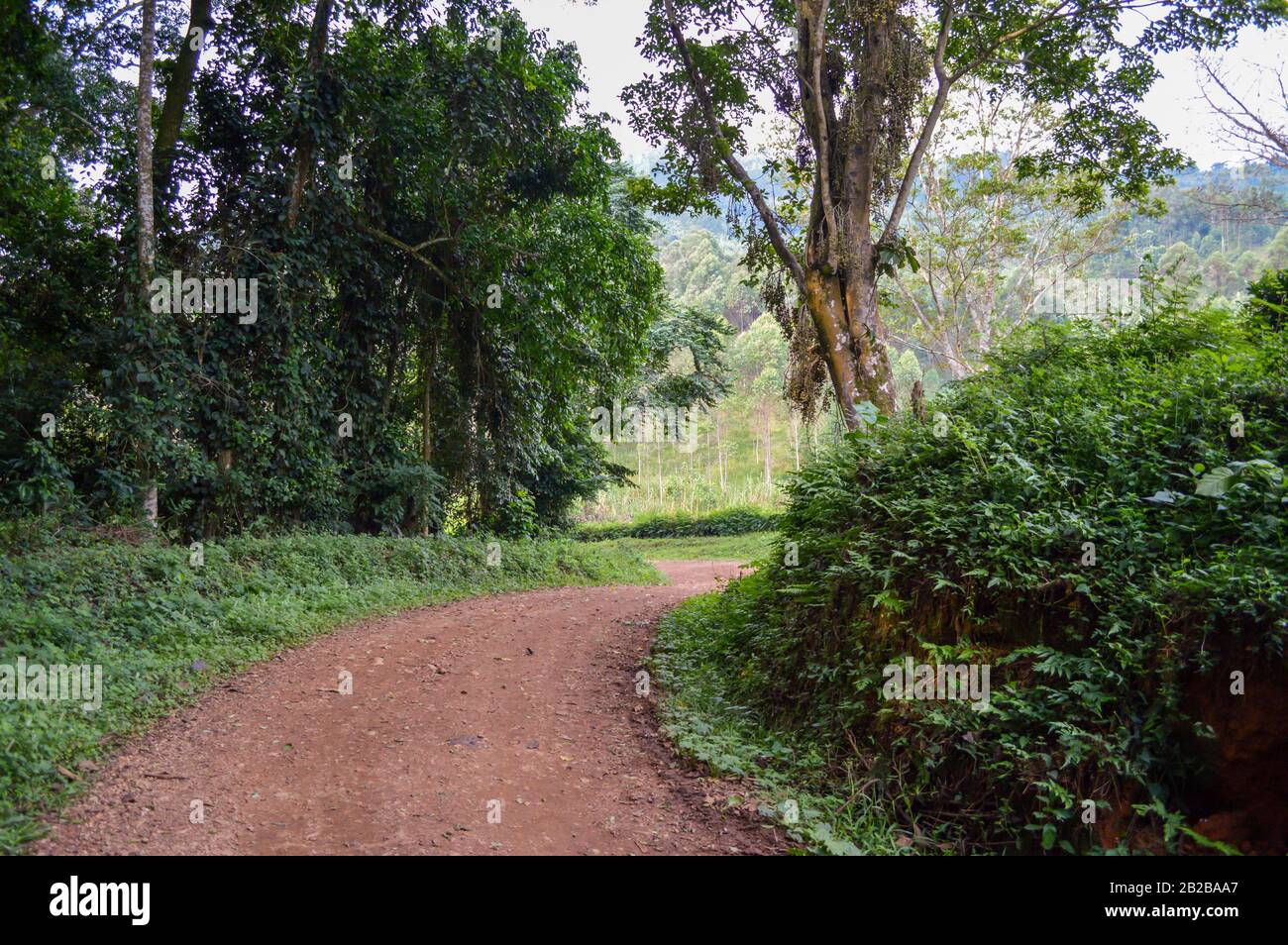 Kazuru hi-res stock photography and images - Alamy