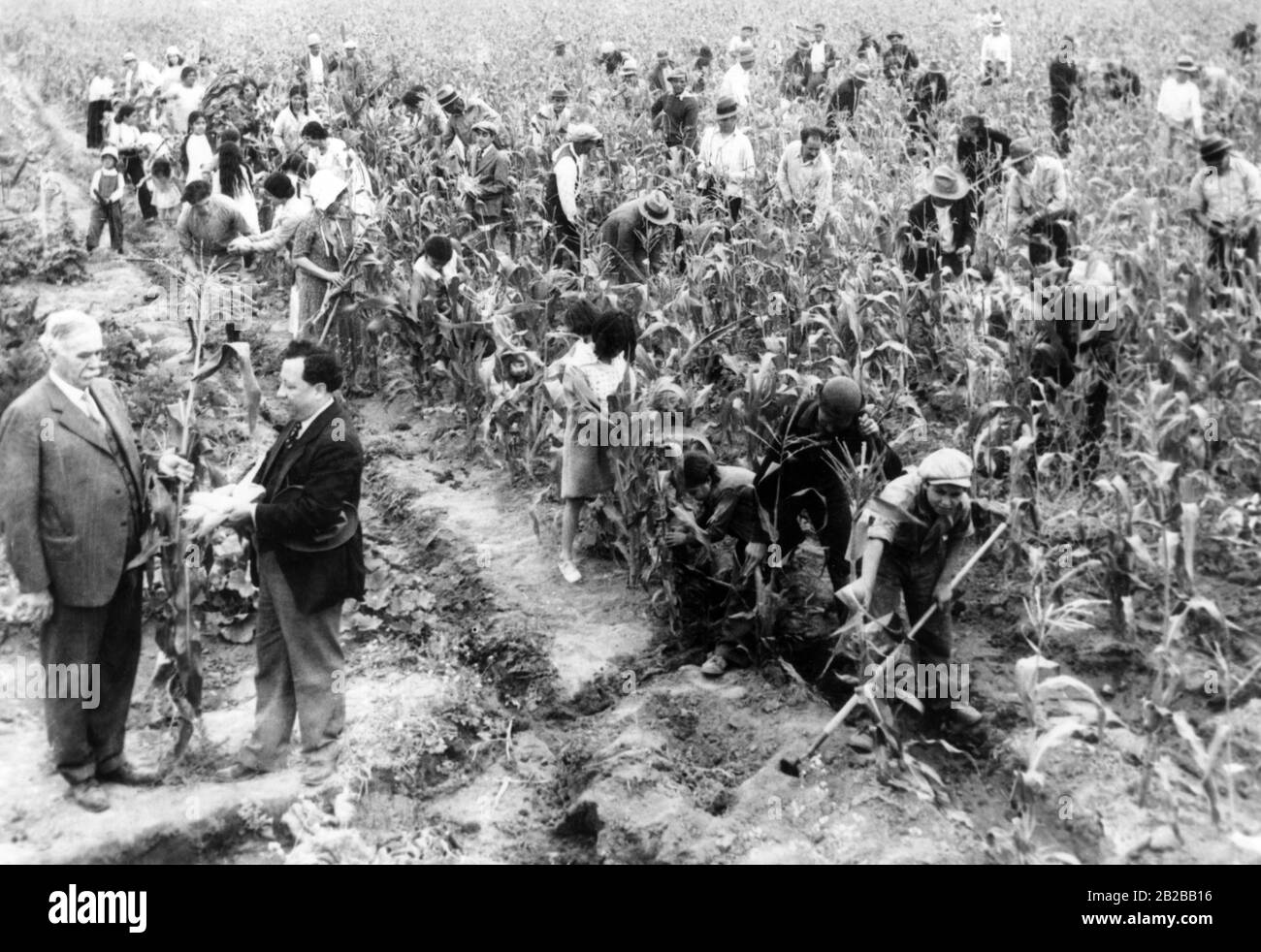 Farming in crisis Black and White Stock Photos & Images - Alamy