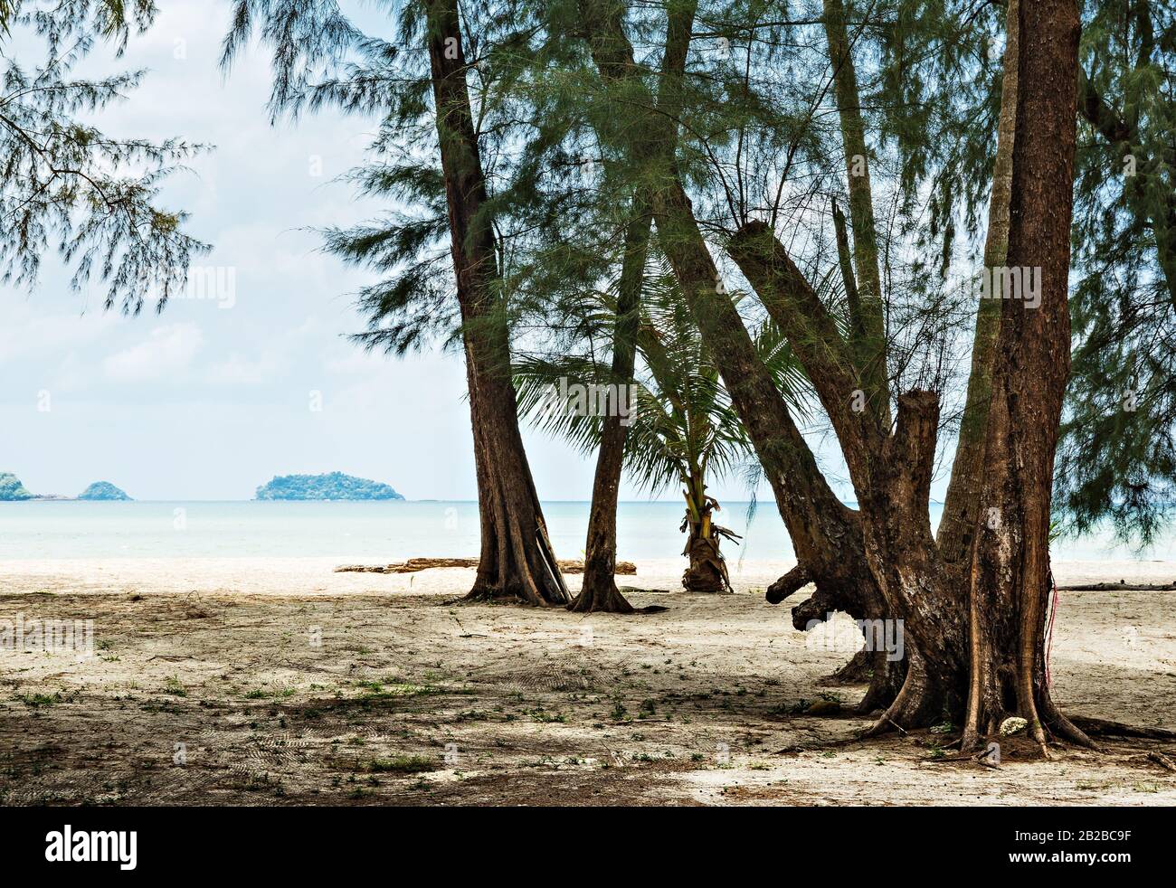 Tropical beach on the island of Koh Mak in Thailand Stock Photo - Alamy