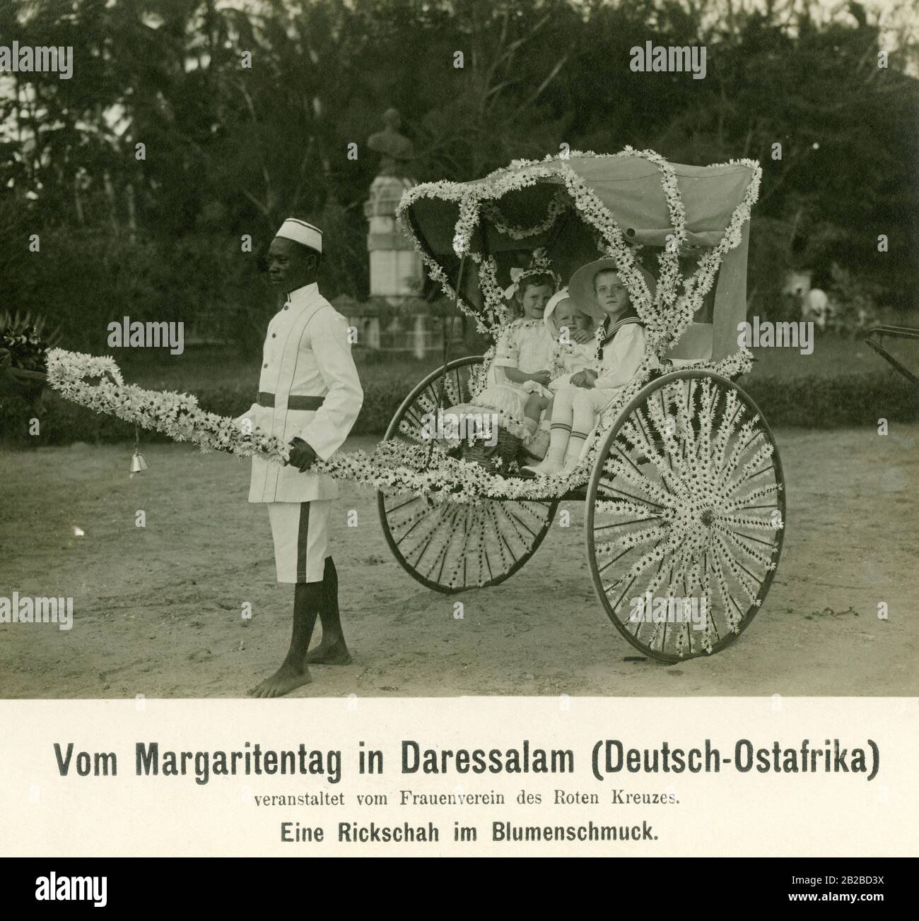 A native draws a rickshaw decorated with flowers with three white ...