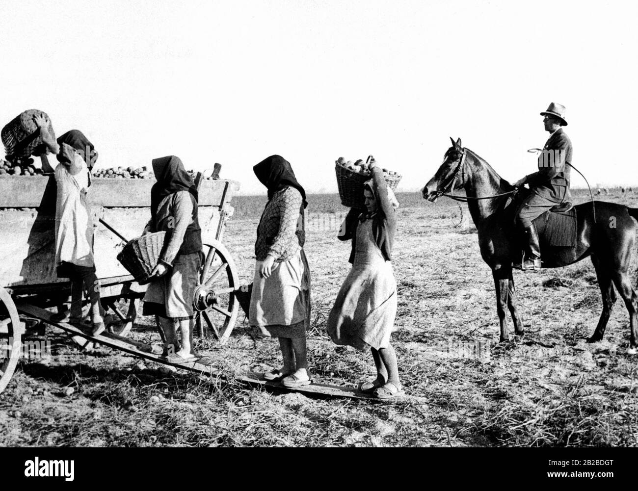 Elbian Black and White Stock Photos & Images - Alamy