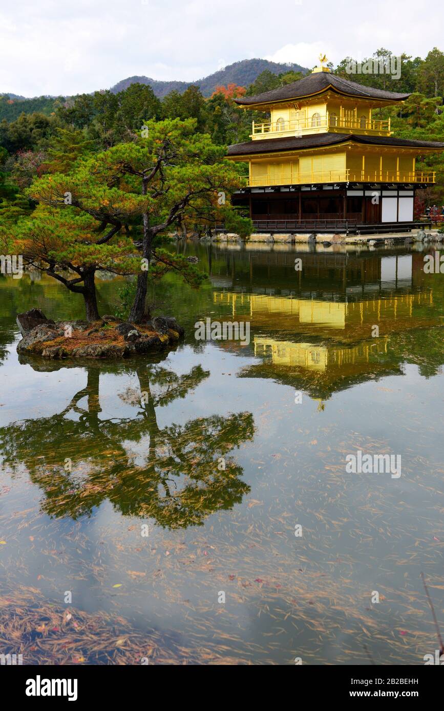 Kyoto golden palace hi-res stock photography and images - Alamy