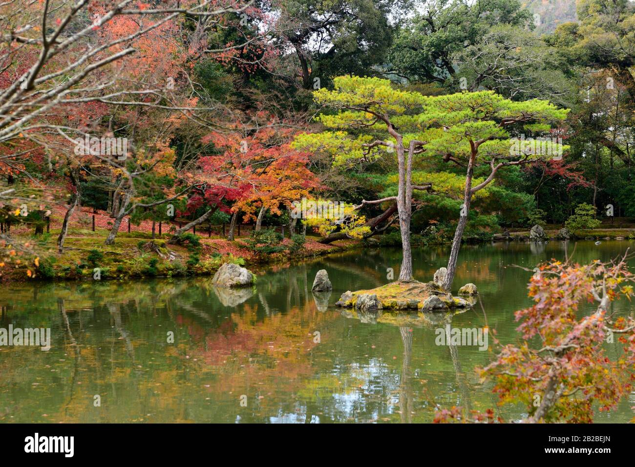 Japan temple tree hi-res stock photography and images - Alamy
