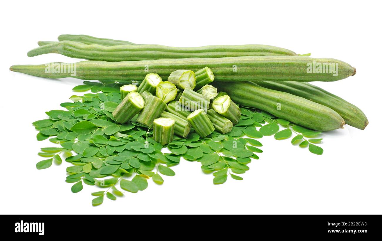 Moringa oleifera isolated on white background Stock Photo - Alamy