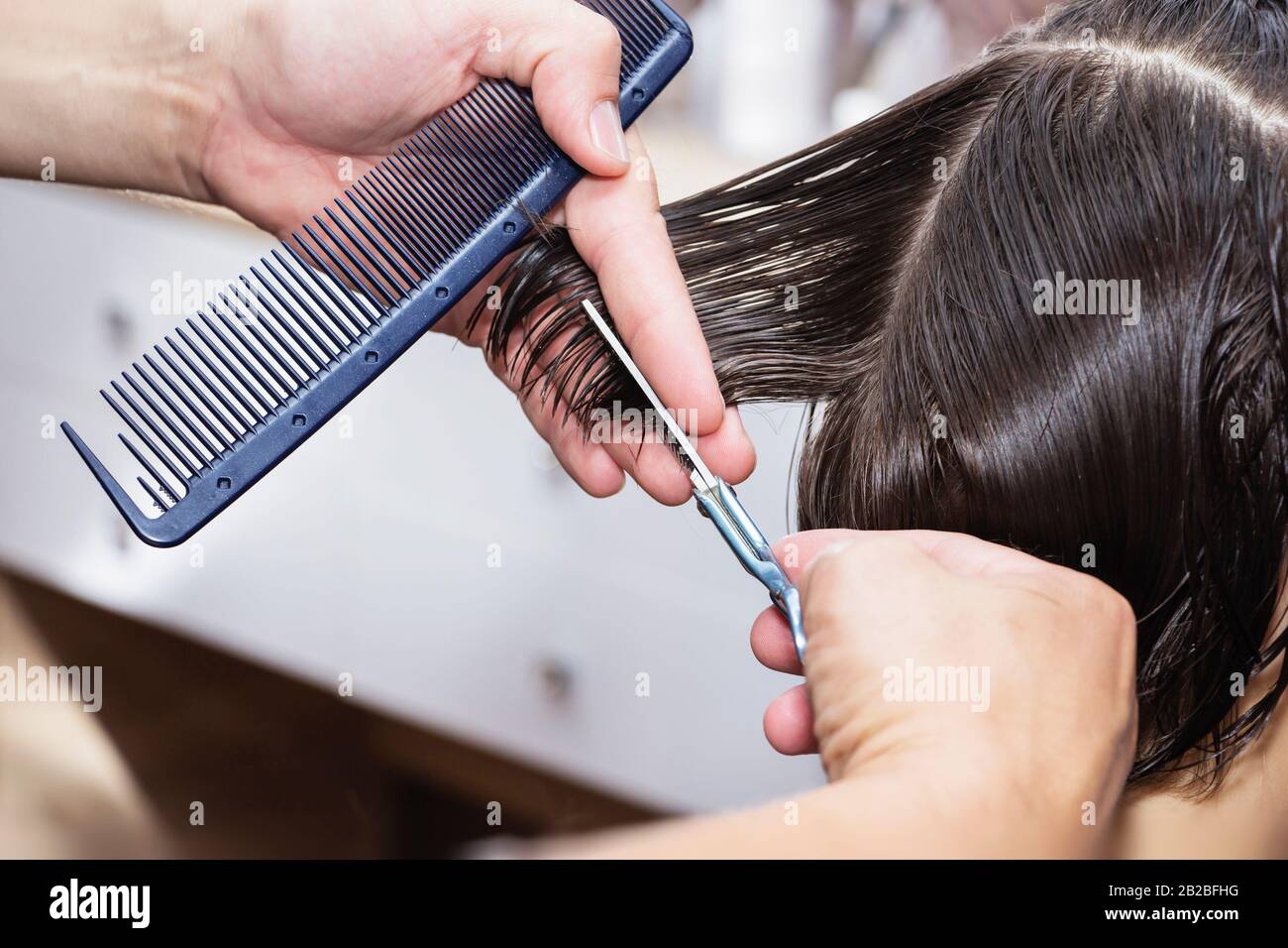 Professional hairdresser doing hairstyle young hi-res stock photography ...