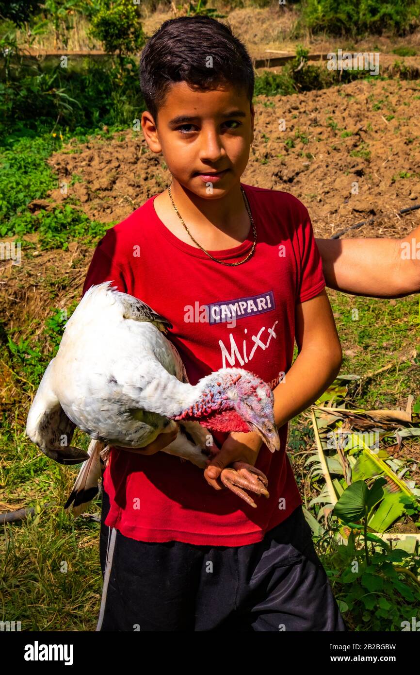 Cuba turkey hi-res stock photography and images - Alamy