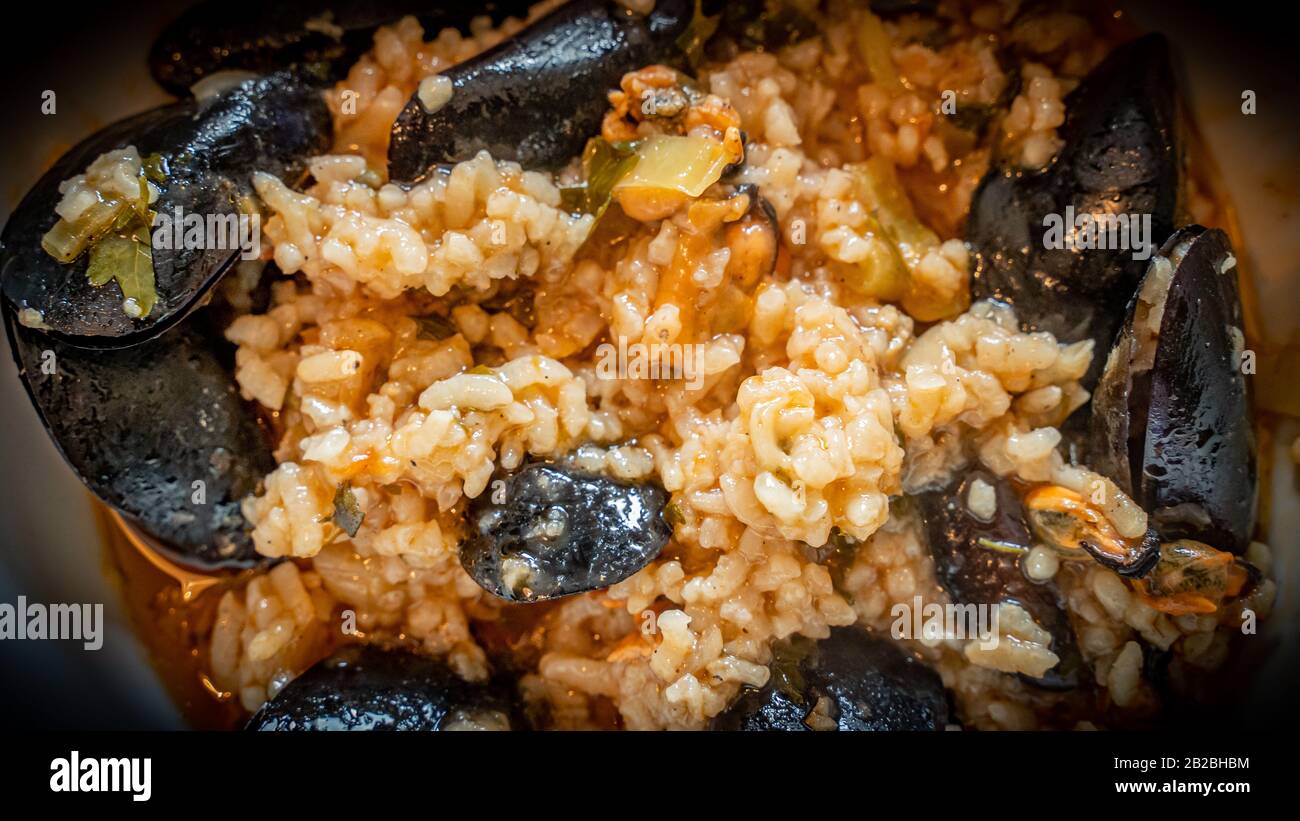 Bearded clam hi-res stock photography and images - Alamy