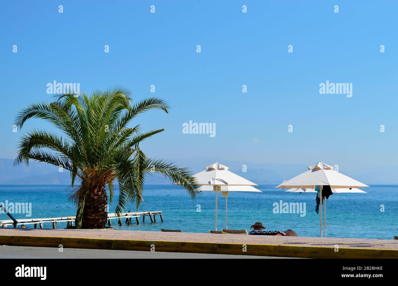 Parasols and a palm tree on Ipsos Beach in Corfu Stock Photo - Alamy