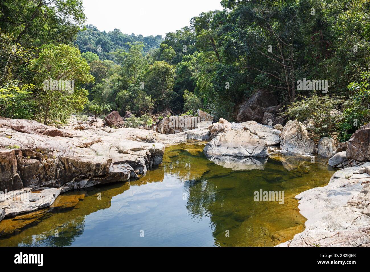 Stream in the tropical jungles of South East Asia Stock Photo - Alamy