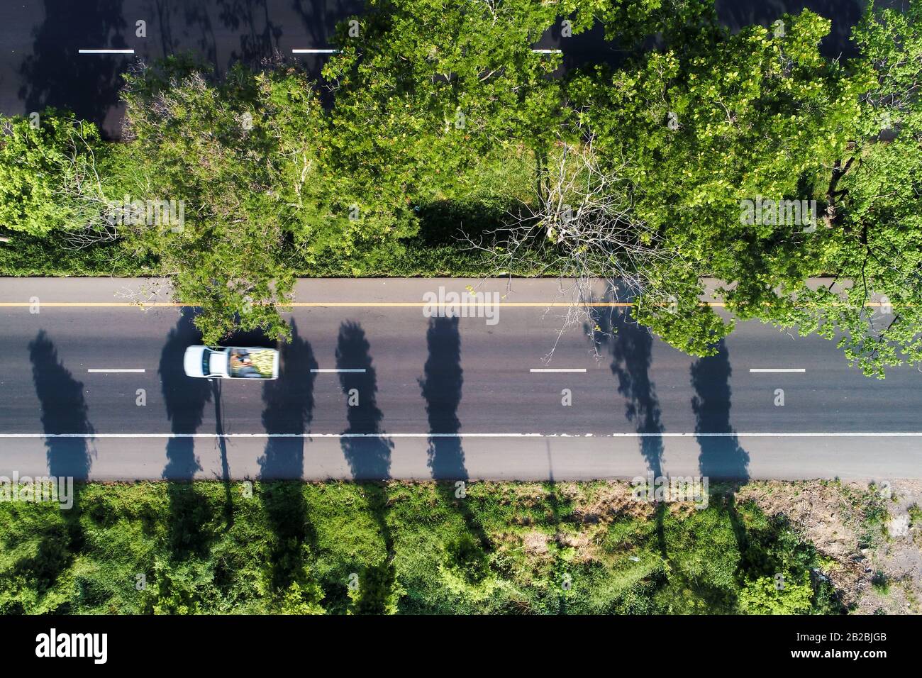 Aerial look down view of road path through the tree with car movement ...