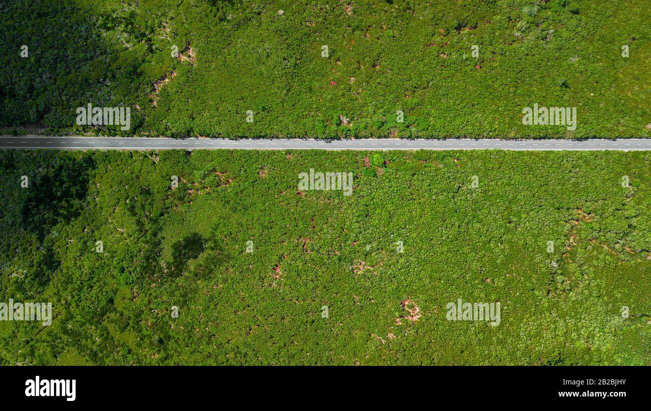 Aerial drone view of straight road in "Paul da Serra", Madeira island ...