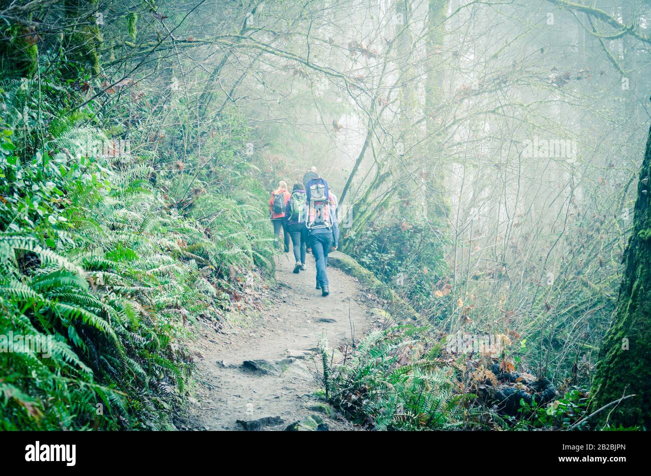 Group of hikers with piggy back kids hiking up the Poo Poo Point ...