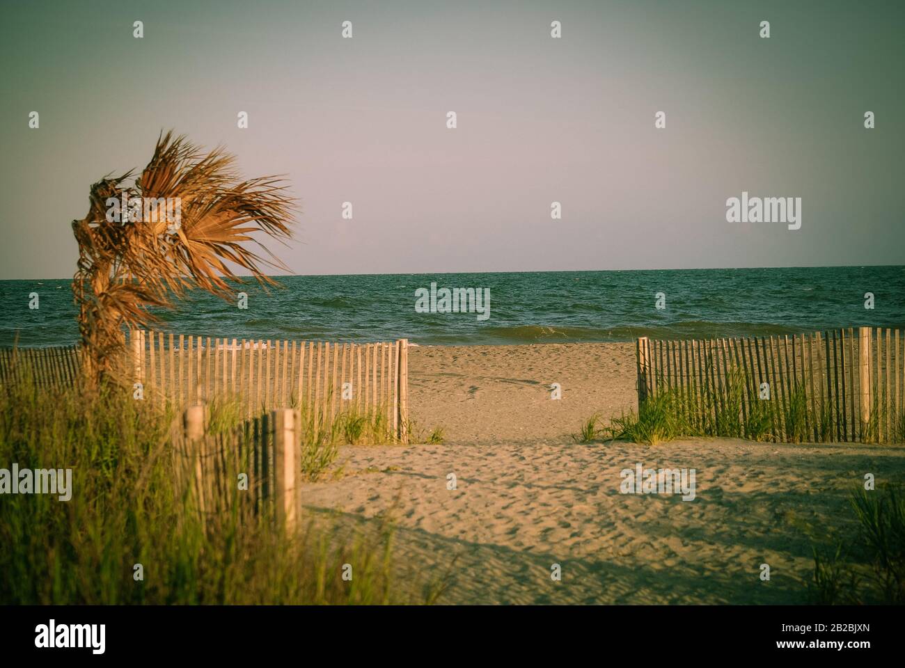 Folly Beach South Carolina is a popular destination for tourists to ...
