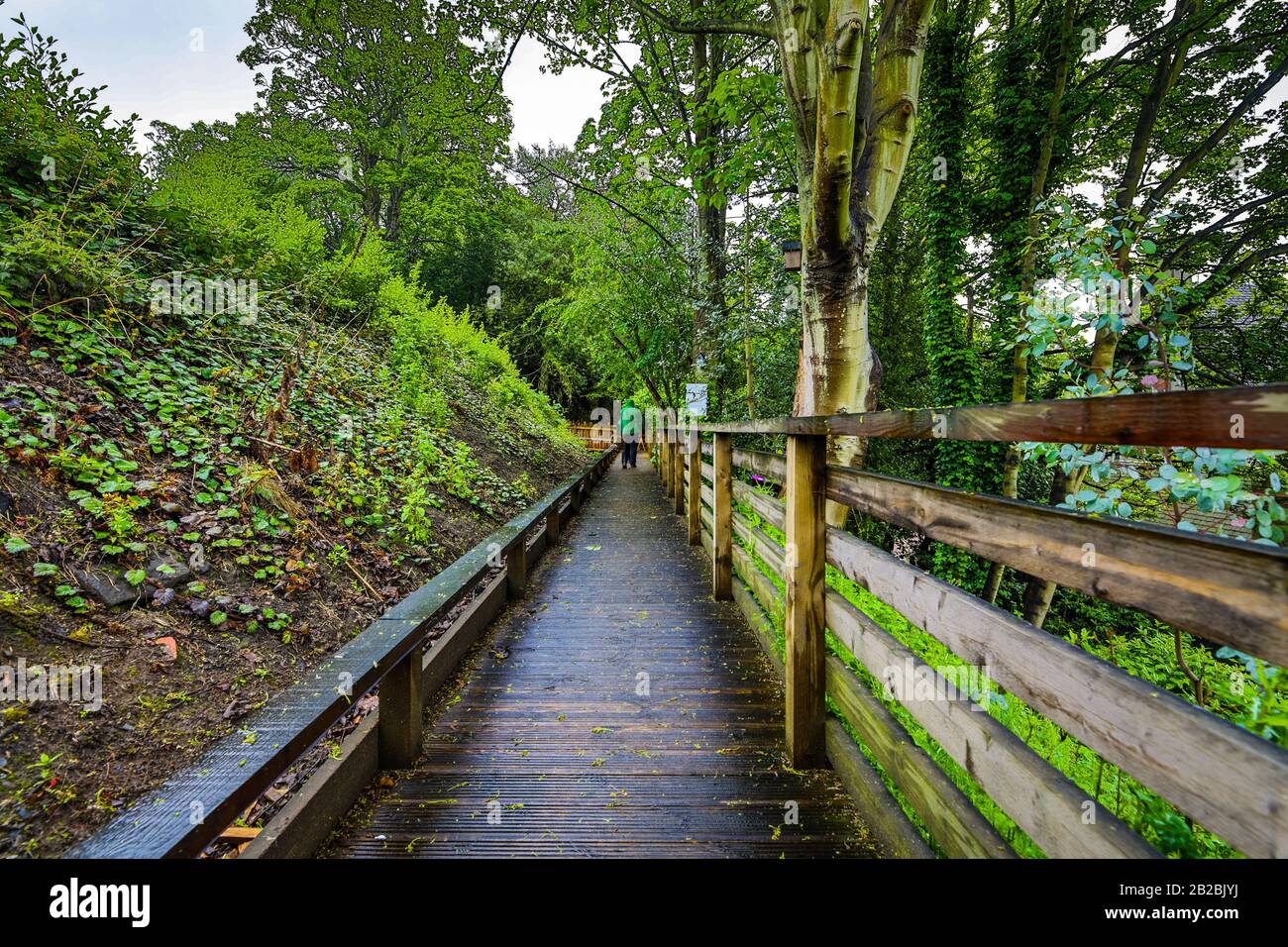 Old bridge and picturesque Scotland morning landscape Stock Photo - Alamy