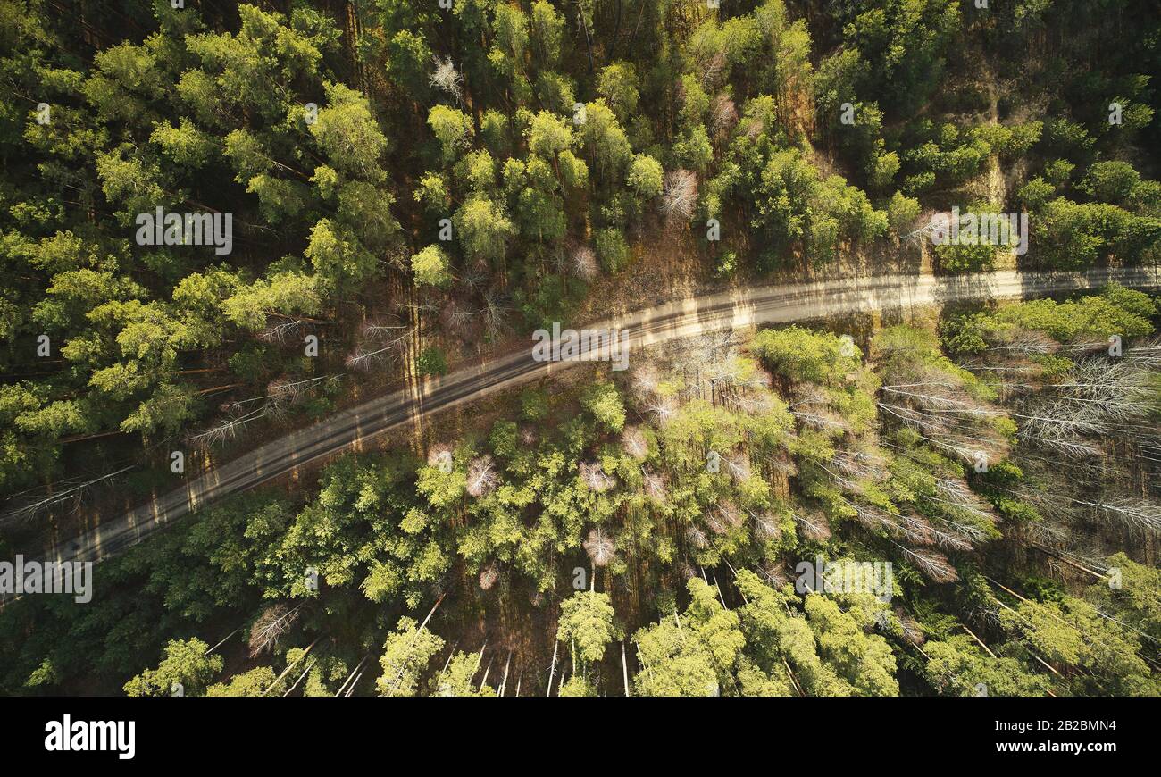 Narrow road in woods aerial hi-res stock photography and images - Alamy