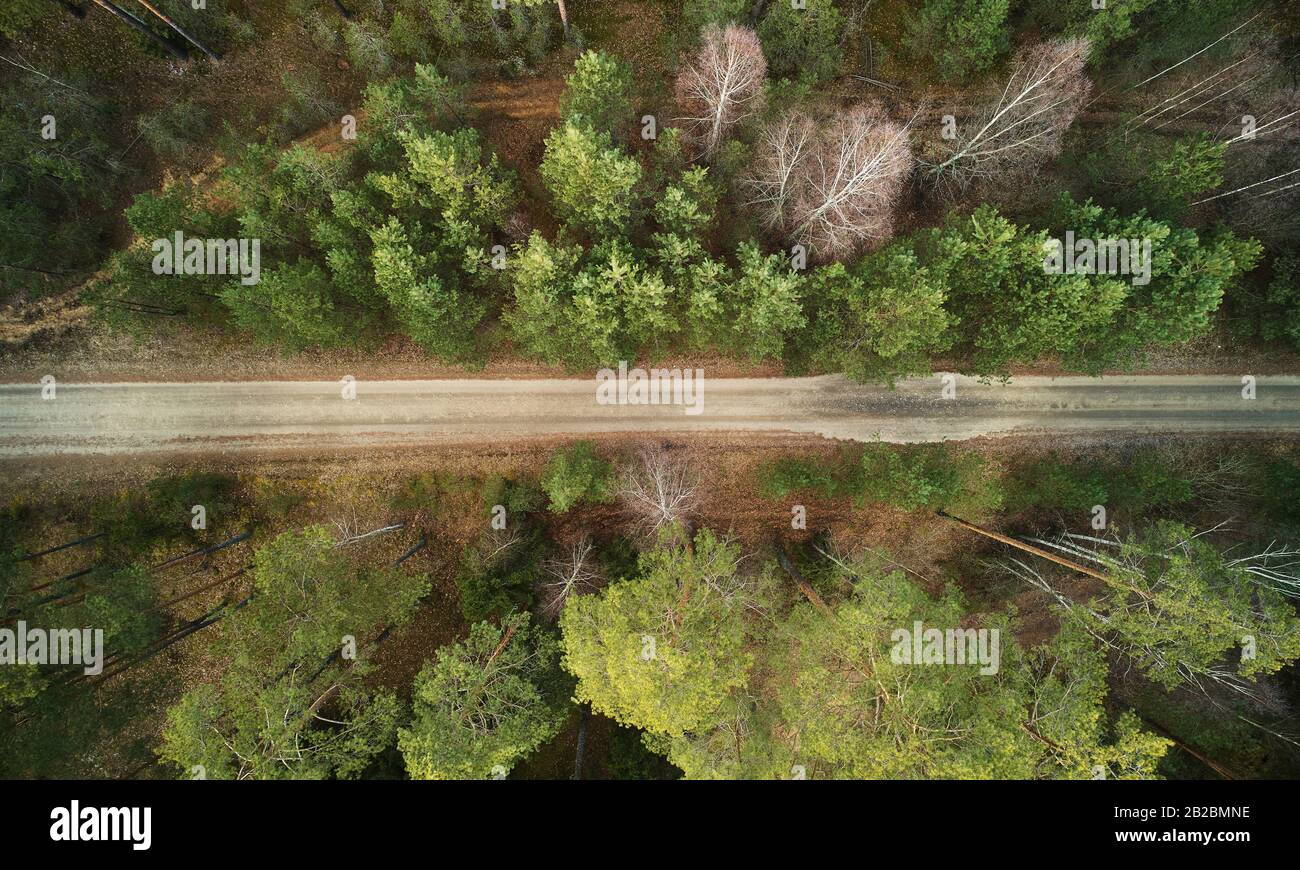 Road around trees hi-res stock photography and images - Alamy