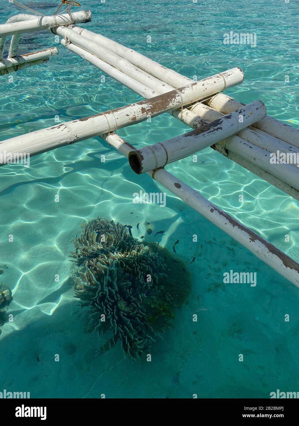 Paraw boat in Coron island in Palawan, Philippines Stock Photo - Alamy