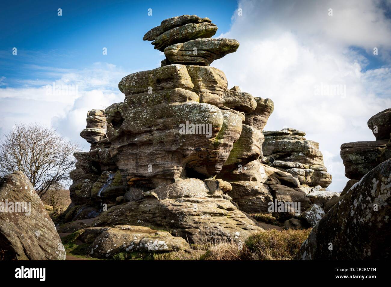 Ripley formation hi-res stock photography and images - Alamy