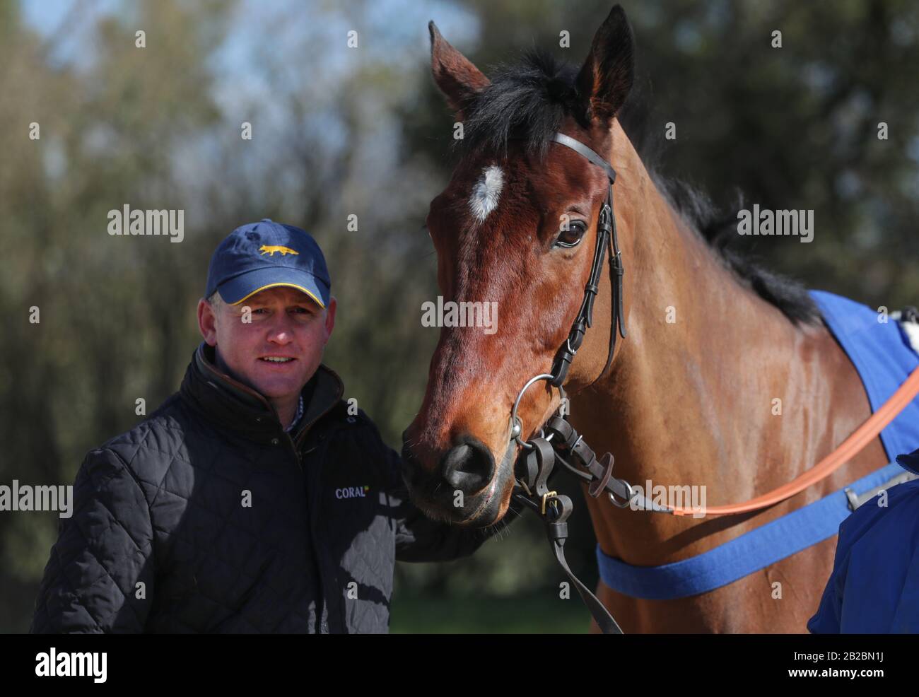 Joe and colin tizzard hi-res stock photography and images - Alamy