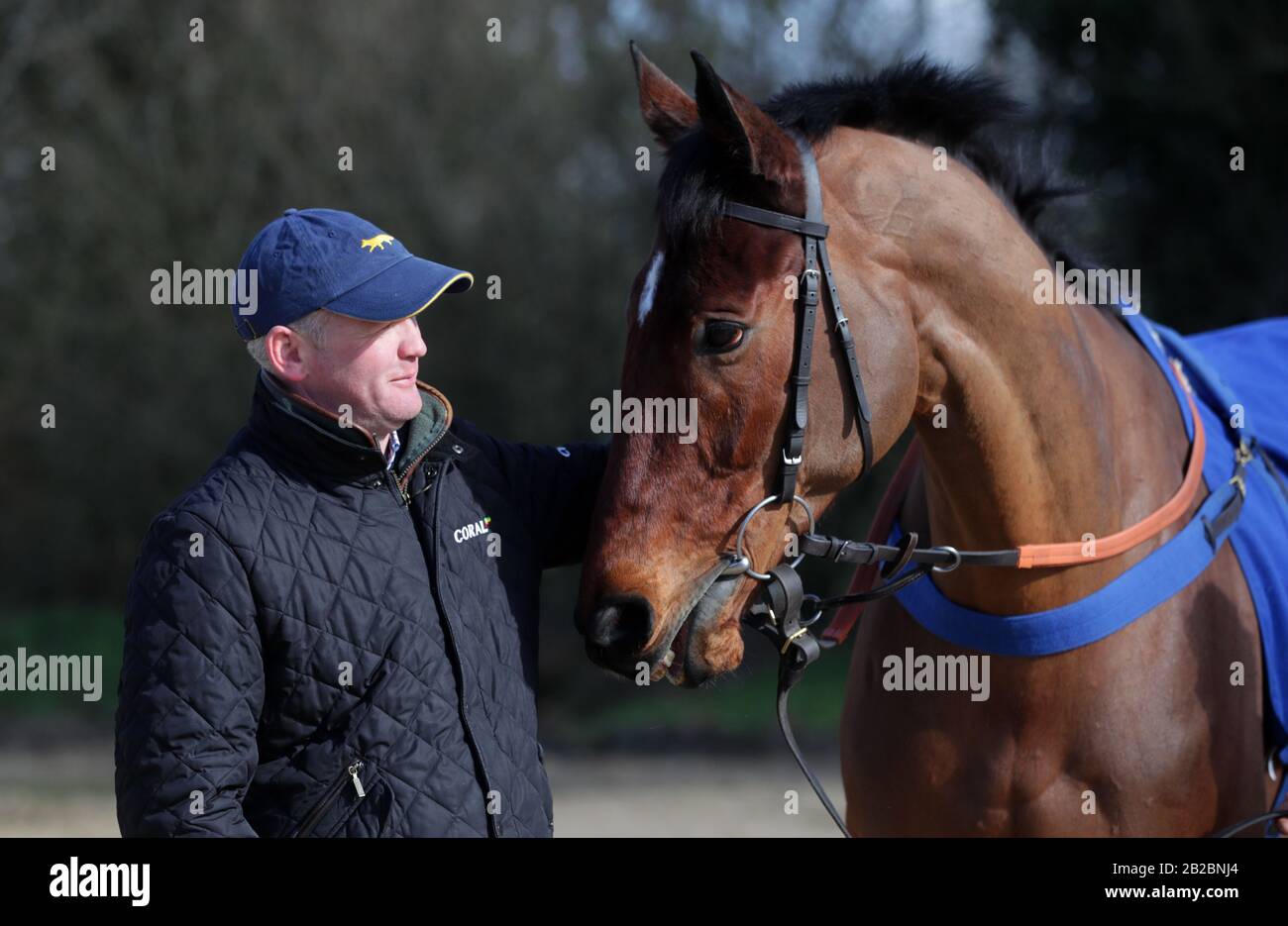 Joe and colin tizzard hi-res stock photography and images - Alamy