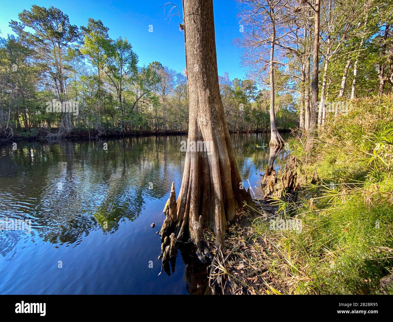 Donnellon hi-res stock photography and images - Alamy