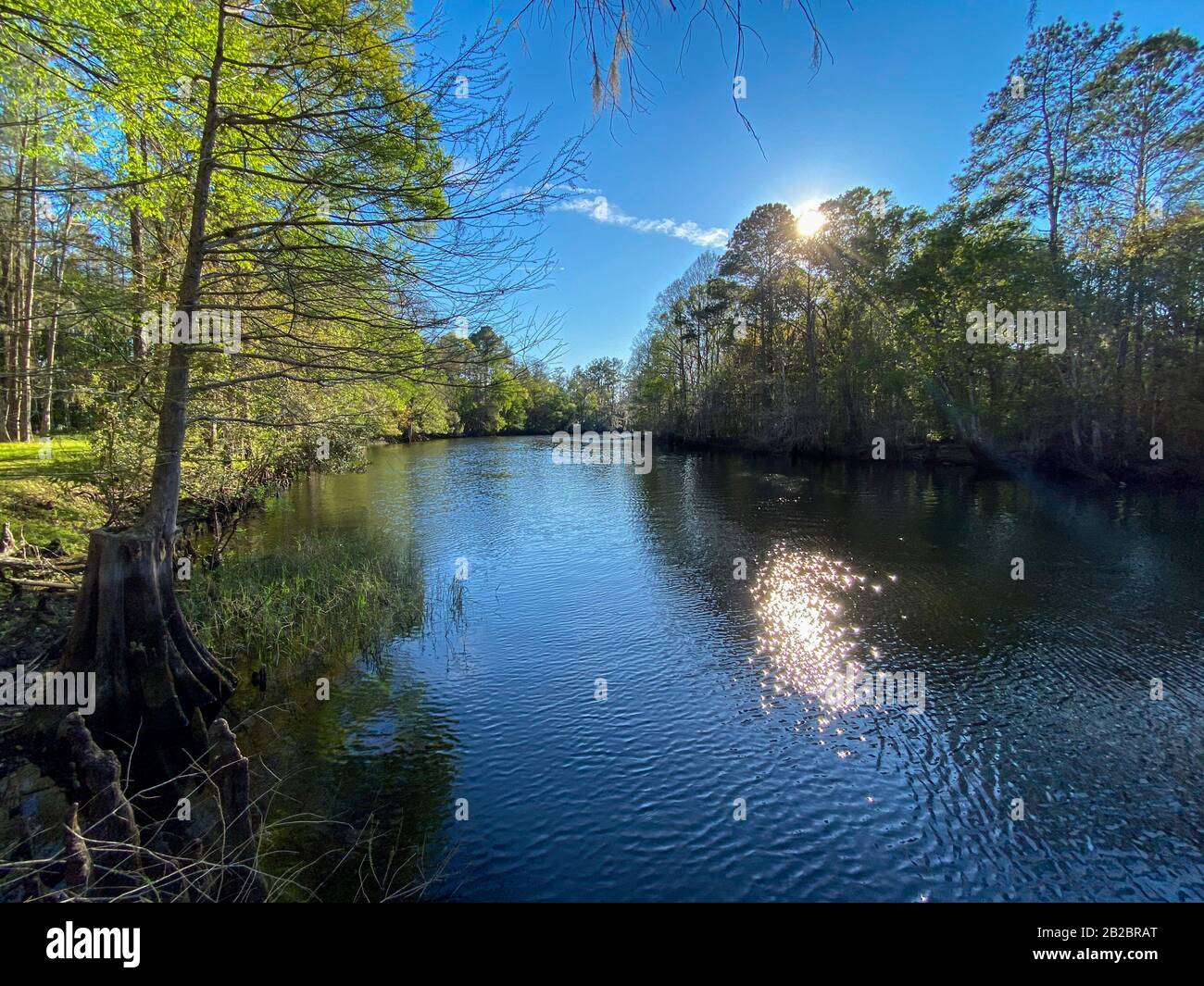 Withlacoochee river florida hi-res stock photography and images - Alamy