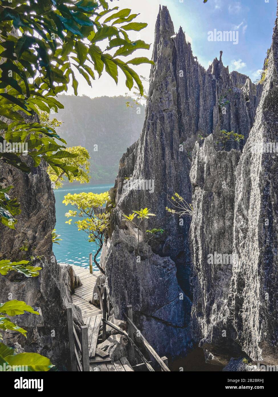 Barracuda lake in Coron, Palawan, Philippines Stock Photo - Alamy