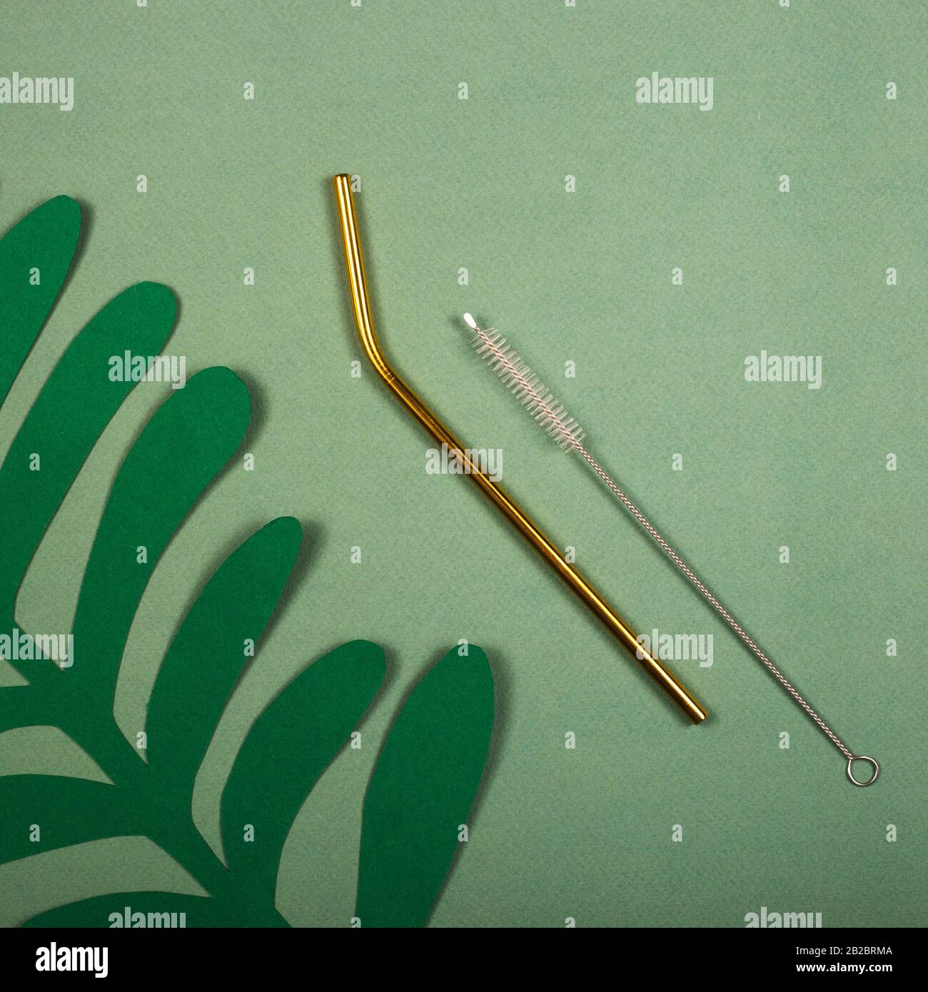 Metal reusable beverage straw with brush on a green background with a ...