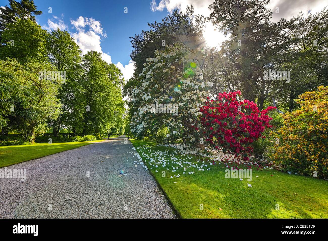 Scottish national botanic garden hi-res stock photography and images ...