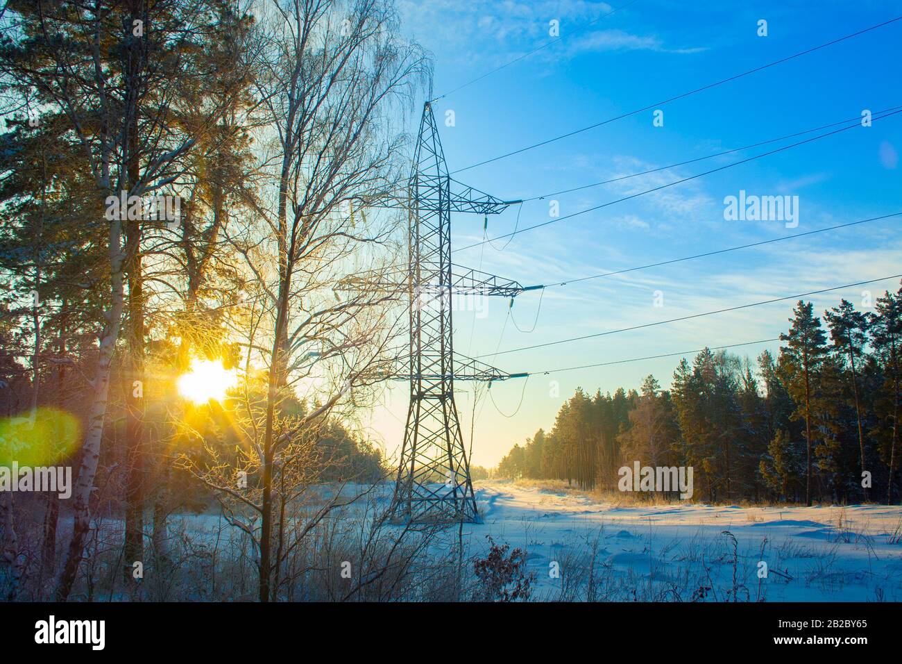 Power line through forest landscape hi-res stock photography and images ...