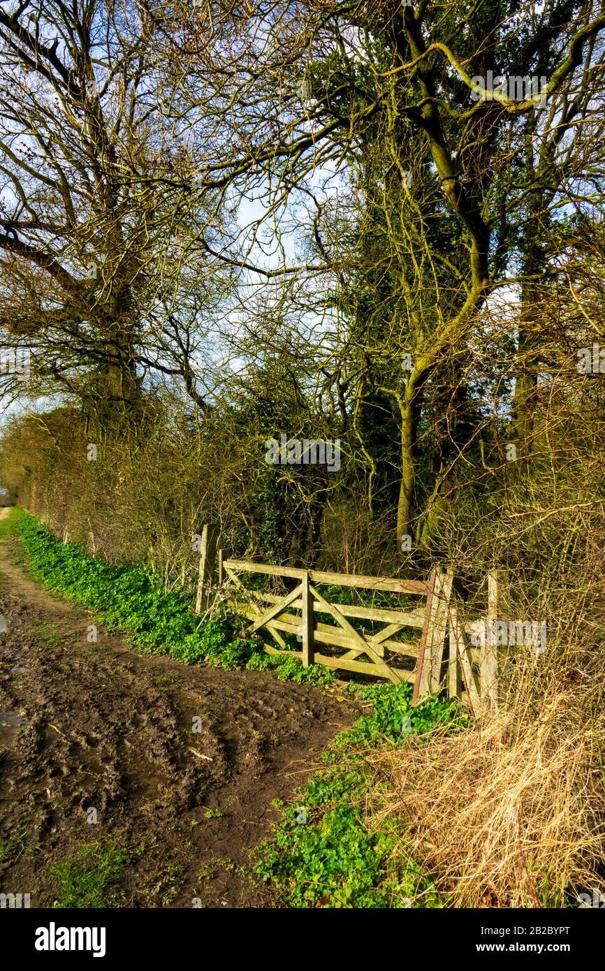 Farm, field, gate Stock Photo - Alamy